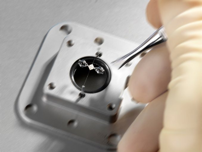 Paramagnetic Sensors from Hummingbird at the Heart of Respiratory ...