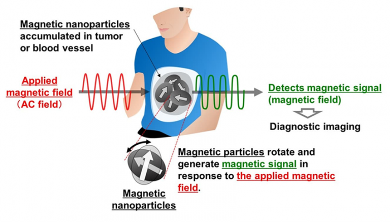 Diagnostic Imaging Prototype at Yokohama University Uses TDK’s Ultra ...