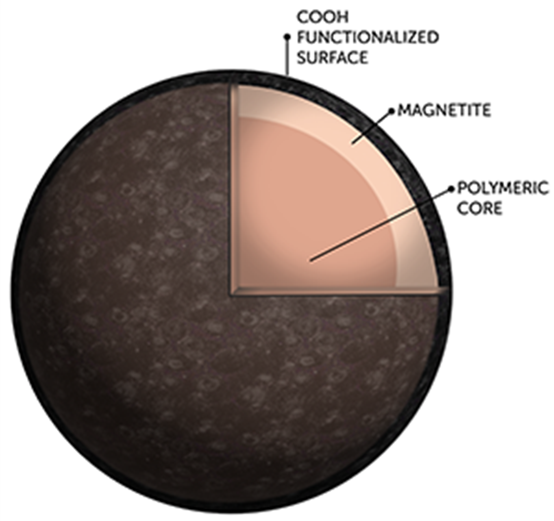 Magzilla Microsphere Introduced by Bangs Laboratories - Magnetics Magazine